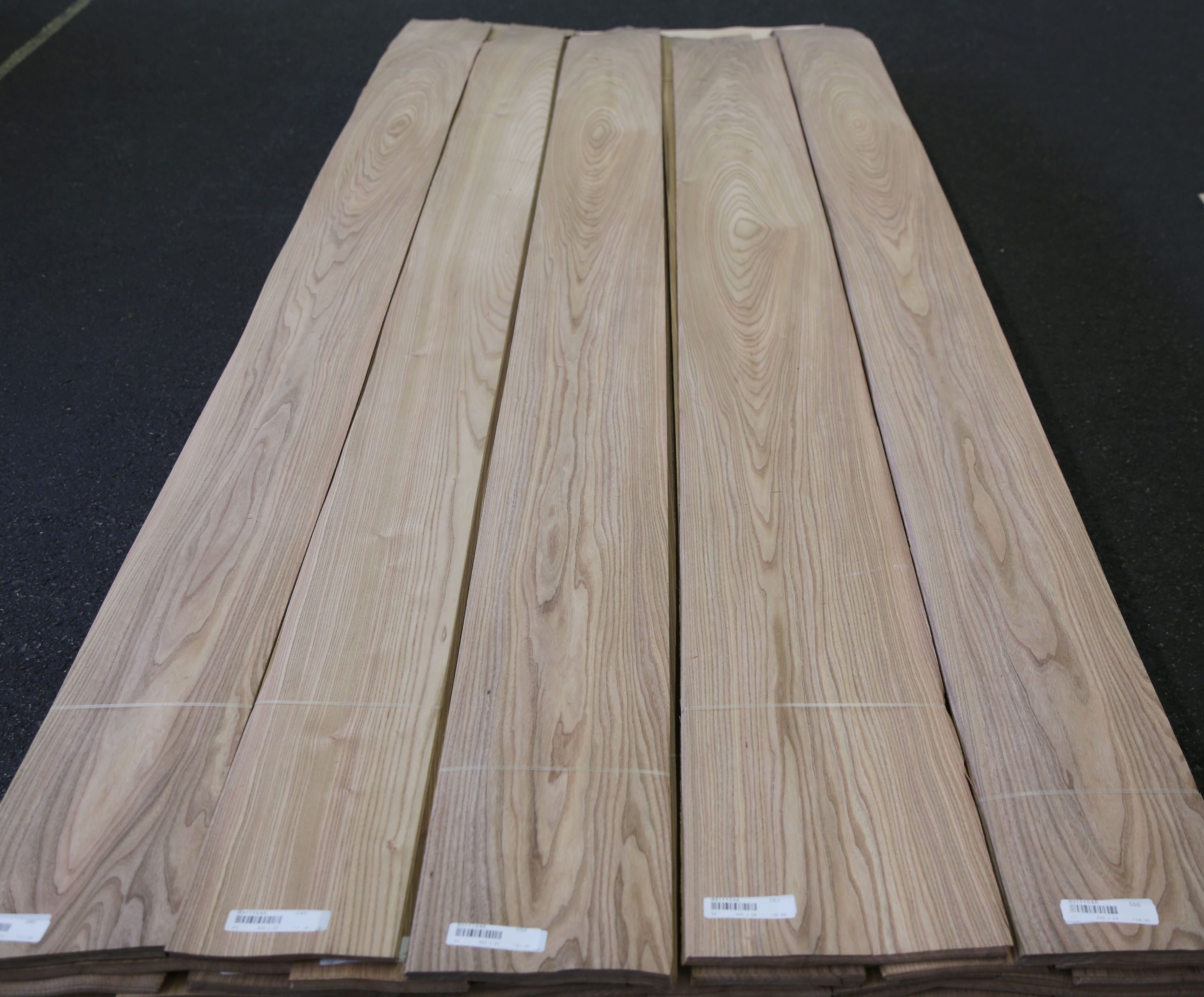 Přírodní dýha Jilm | Dyhy.cz