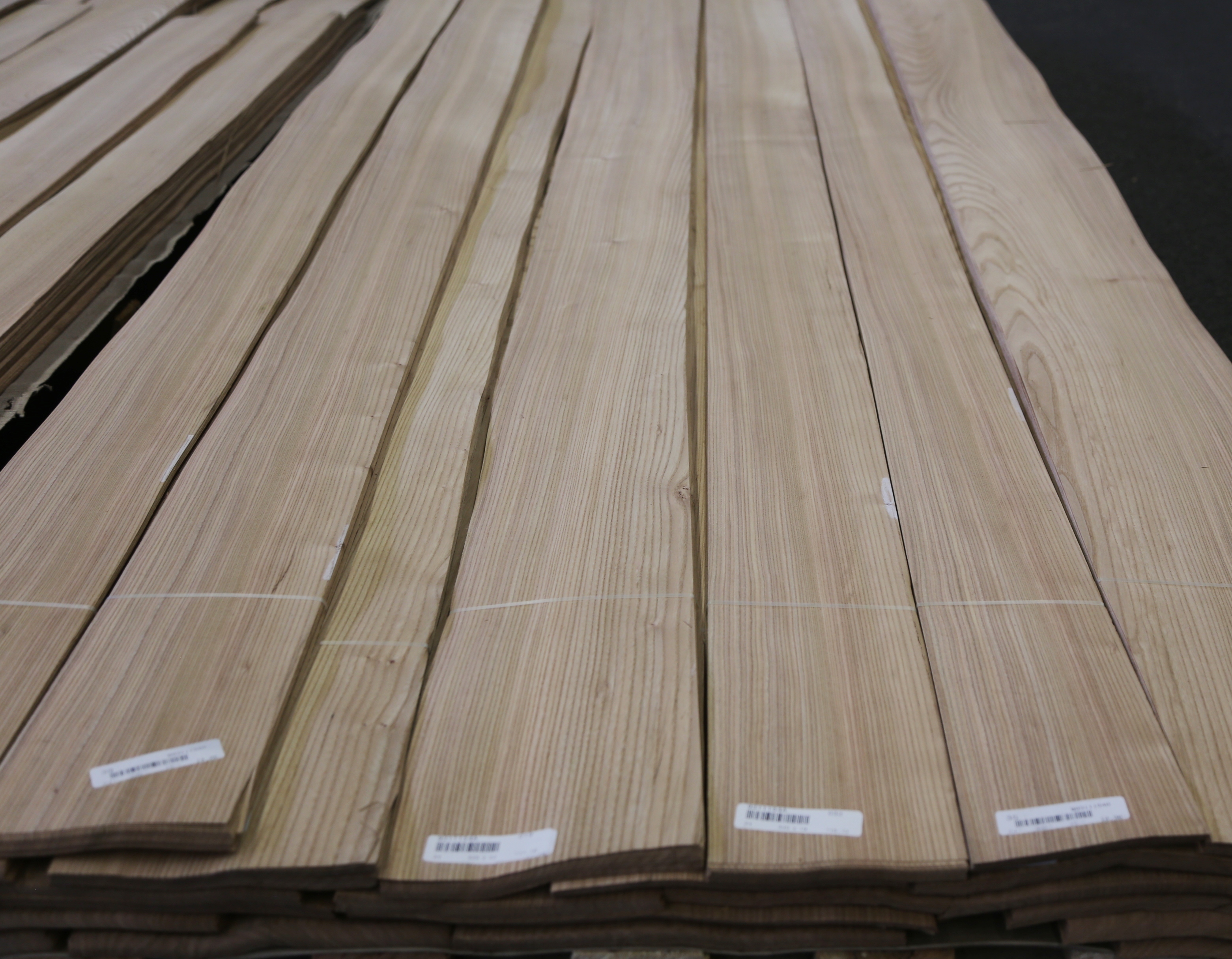 Přírodní dýha Jilm | Dyhy.cz