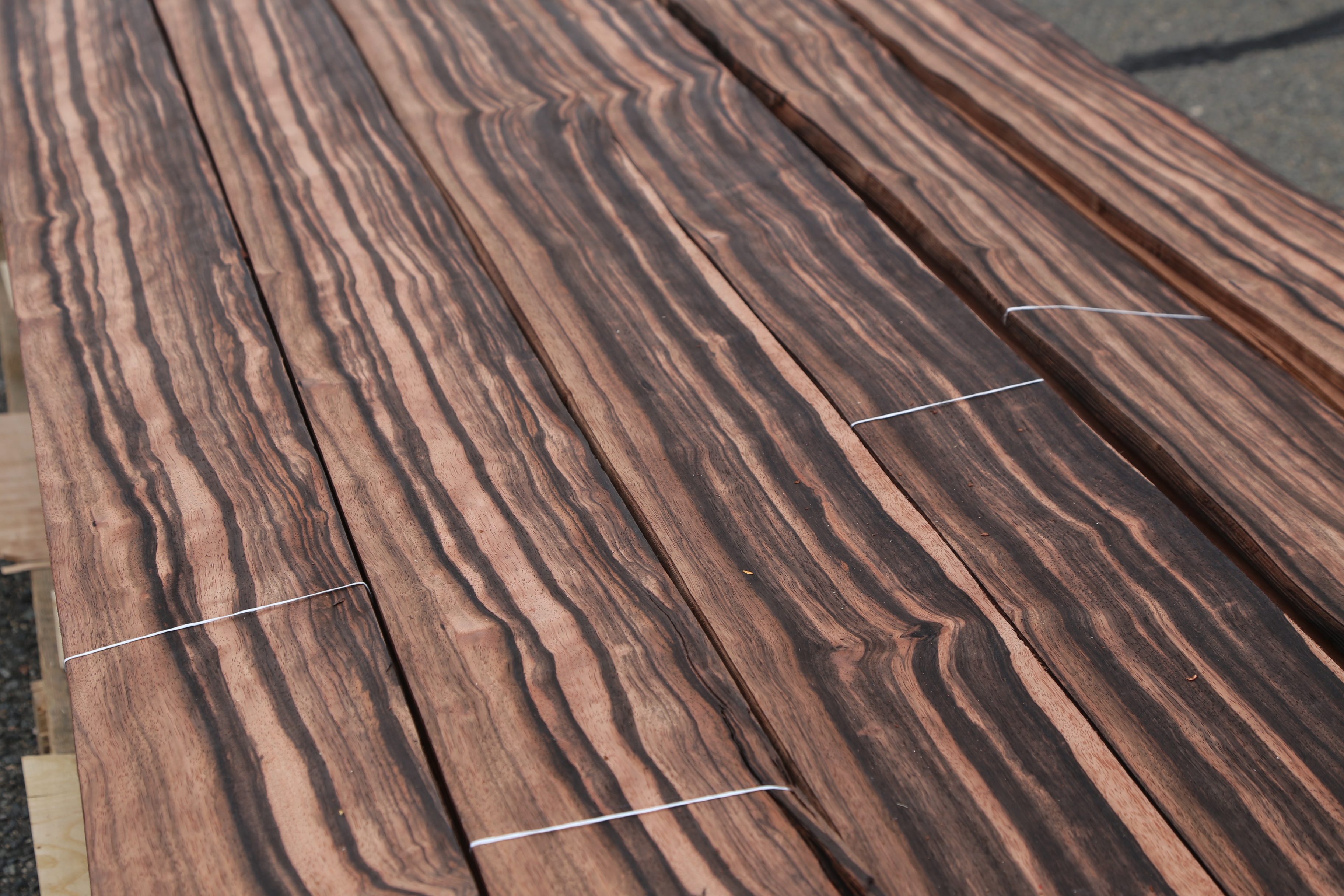 Přírodní dýha Makassar | Dyhy.cz